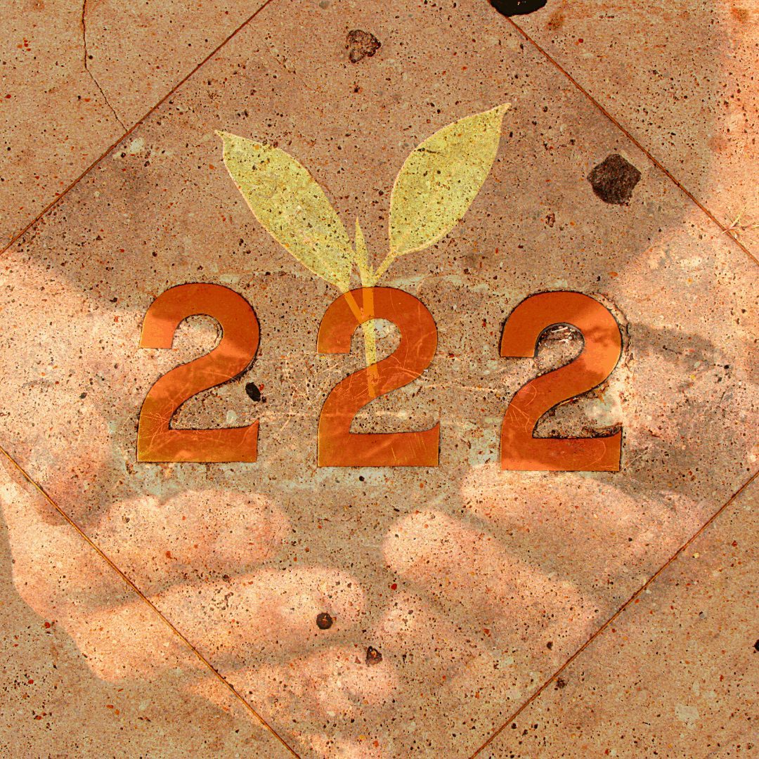 Unseen Strategy 222 Angel Number 222 Meaning - October 2024